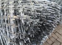 China Galvanized Anti Climb CBT-65 Razor Wire Mesh Fence for sale