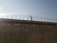 China Bto-12 Hot Dipped Galvanized Razor Wire Concertina Dia 500mm 600mm for sale