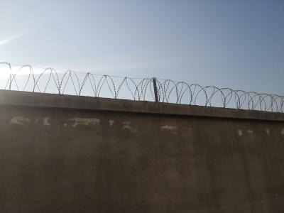 China Bto-12 Hot Dipped Galvanized Razor Wire Concertina Dia 500mm 600mm for sale