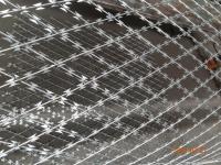 China Barbed Welded Diamond 1m X 2m Razor Wire Mesh Fencing for sale