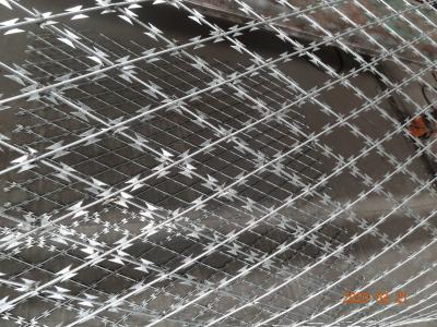 China Silver Industrial 100x150 BTO-18 Welded Razor Mesh For Fence Protect for sale