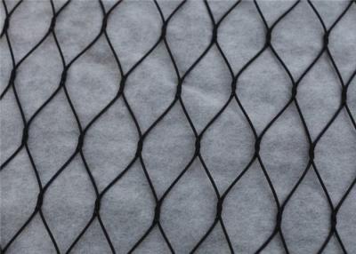 China 1.6mm X Tend Black Oxide Stainless Steel Aviary Mesh for sale