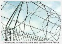 China Sharp Blades Welded 700 800 900mm Coil Razor Mesh Fence for sale