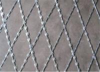 China Bto 22 Security 1x2m Size Welded Razor Wire Mesh for sale