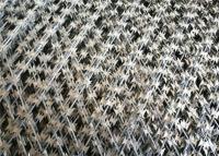 China Aisi 430 Razor Wire Concertina For Security Fence / Prison Fence for sale