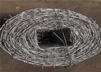 China 1000m Bwg 12 Fencing 7.5cm Razor Blade Barbed Wire for sale