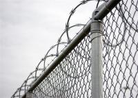 China 8 Ft High Garden Chain Link Fence Fabric Galvanized 3.0mm-4.0mm for sale
