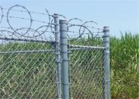 China 9 Gauge 5*5cm 6 Feet Chain Link Fence Galvanized Diamond Mesh Wire For Farm for sale