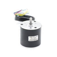 China 3000RPM Lightweight Brushless Dc Motor 4 Pole 24 Volt 11W 0.035nm 42BLY01C for sale