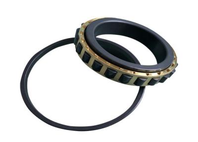 China Precision 10mm NU424 Cylindrical Roller Bearings for sale