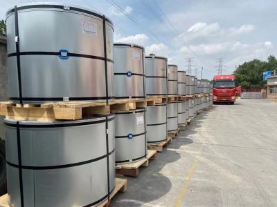 China 842mm Anti Rust Tinplate Coil Matte Stone Bright Surface for Food Beverage Can for sale