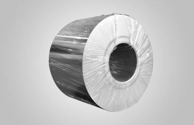 China 0.20mm Tin Plated Steel Sheet SPTE TFS Food Grade Material for Can Manufacturing with Corrosion Resistance for sale