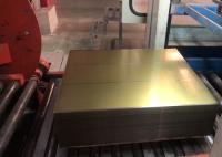 China Rust Proof Corrosion Resistant Printed Tinplate SPTE TFS for Paint Food Cans 2.8 2.8 Tin Coating for sale