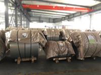 China SPTE ETP TFS Tinplate Coil for Food Beverage Packaging Anti Rust 0.15mm 0.50mm for sale