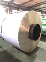China Printed Coated Tin Free Steel TFS Tinplate Sheet for Chemical Can Packaging 0.15-0.5mm for sale