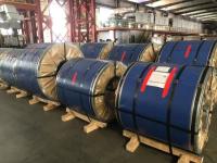 China MR Grade Tin Free Steel Coils & Sheets with BA/CA Annealing for Food Packaging - 0.15-0.30mm Thickness Range for sale