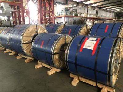 China MR Grade Tin Free Steel Coils & Sheets with BA/CA Annealing for Food Packaging - 0.15-0.30mm Thickness Range for sale