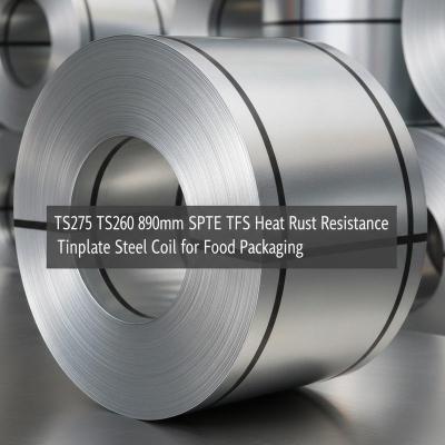 China Heat Rust Resistance Tinplate Steel Coil TS275 TS260 890mm SPTE TFS for Food Packaging for sale