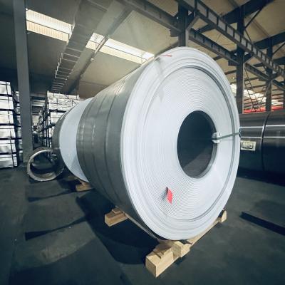 China Premium Electrolytic Tinplate Coil & TFS For Global Food Packaging for sale