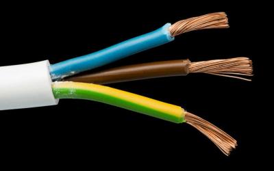 China Flexible 2 Core Custom Wire Cable 1m Length With Dual Shielding for sale