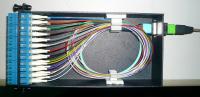 China 1*8 2*24 MPO Breakout Cable Transition Cassette For Data Center for sale