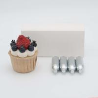 China Dessert Tools 8g Cream Whipper Charger 24pk Silver Plating for sale