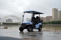 China 2 4 6 Seat Electric Lithium Battery Sightseeing Golf Cart Golf Buggy Car with DOT Comfortable and Spacious for sale