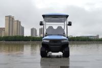 China 2 4 6 Seat Electric Lithium Battery Sightseeing Golf Cart Golf Buggy Car with DOT Comfortable and Spacious for sale