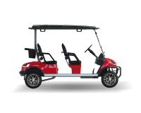 China Max Speed 25-30km/h Front Disc Rear Disc Brake System NL-JY4.G 4 Passenger Electric Hunting Car Electric Golf Cart for Club for sale