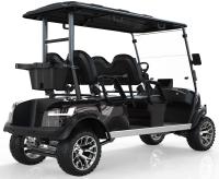China 205/50-10 Tire Size 4 Seaters Lifted Electric Golf Cart for Golf Course and Yard for sale
