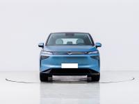 China Level Compact SUV 2024 Venucia VX6 Energy Vehicle with 450km Range and 5-Seats Battery type Lithium Iron Phosphate 2025 for sale