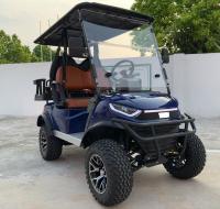 China Equipped with Electromagnetic Parking System Private Mold Electric Lifted Golf Cart 4 Passenger Chinese Hunting Golf Carts for sale