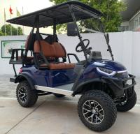 China Equipped with Electromagnetic Parking System Private Mold Electric Lifted Golf Cart 4 Passenger Chinese Hunting Golf Carts for sale