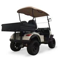 China Utility Trucks With 2 Passenger And 48V 5KW AC Motor Journey Golf Cart Standing Postion of Tail Caddie Maximum Speed ≤30Km/h for sale