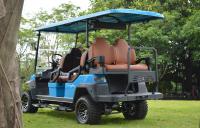 China 2 4 6 Seat Lifted Electric Golf Cart with DOT EEC Certification and Long-lasting Lithium Battery for sale