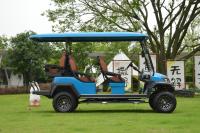 China 2 4 6 Seat Lifted Electric Golf Cart with DOT EEC Certification and Long-lasting Lithium Battery for sale