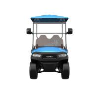 China Affordable 2 Seat Electric Golf Buggy Perfect for Family and Hunting on the Beach for sale