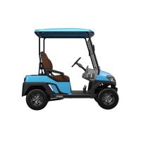 China Affordable 2 Seat Electric Golf Buggy Perfect for Family and Hunting on the Beach for sale