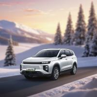 China Geely Livan Comfortable Electric Car Beautiful and Safe Design Energy Vehicle Awning White Max Speed 163km/h for sale