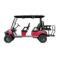 China User-Friendly Electric Passenger Cars with Multiple Tire Sizes and Front Rear Disc Brake System for sale