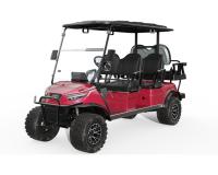 China Street Legal Golf Cart NL-JA4 2.G Electric Buggy for Sightseeing Club 10% Climbing Ability 30Km/h Max. Speed for sale