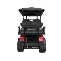 China User-Friendly Electric Passenger Cars with Multiple Tire Sizes and Front Rear Disc Brake System for sale