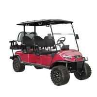 China User-Friendly Electric Passenger Cars with Multiple Tire Sizes and Front Rear Disc Brake System for sale