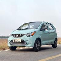 China Energy Vehicle Mini Electric Car for Adults without Driving License and Manual Adjustment Exterior Rearview Mirror for sale