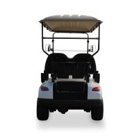 China Tire Size 205/50-10 Tire diameter 18.1in 460mm Powerful 4KW AC Motor Electric Golf Cart 2024 6 Seater Transport Passenger for sale