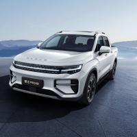 China 2023 2024 Model Electric Pickup Truck High Power Pickup Electric Cars RADAR RD6 2WD Drive Left Steering 2 Years for sale