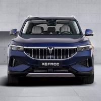China 2024 Energy Vehicles SUV VOYAH FREE 5seats And 4 Electric Vehicles Car With Fast Charge Time 0.75h Total Motor Power 510KW for sale