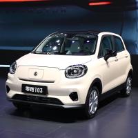 China Leapmotor T03 Electric SUV with Left Hand Drive and Max Speed of 100km/h for sale