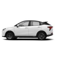 China 5 Seater Neta V 2023 Tide 300 Lite Electric SUV with Lithium Iron Phosphate and 4070*1690*1540 Dimensions for sale