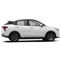 China Left Hand Drive Neta V 2022 Tide 400 Lite Affordable Chinese Electric Car with Lithium Iron Battery and 2420 Wheelbase for sale